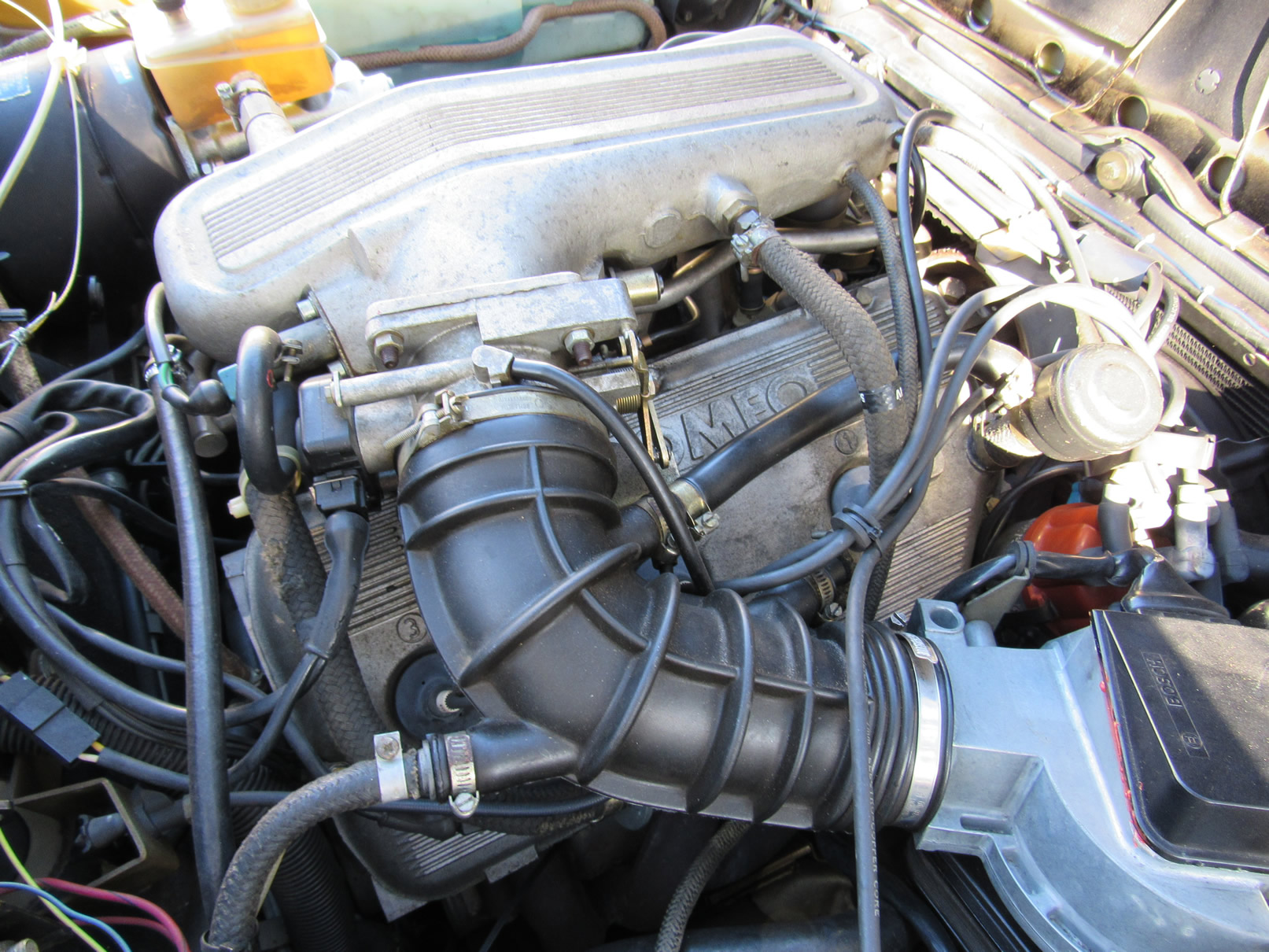 1986 Alfa Romeo GTV6 | Vintage Motors of Sarasota Inc.